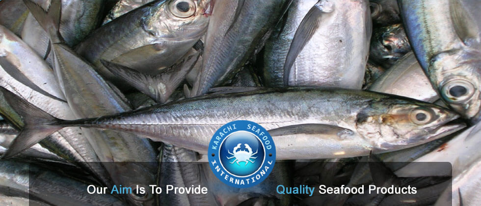 Karachi Seafood International - Fish Exporter